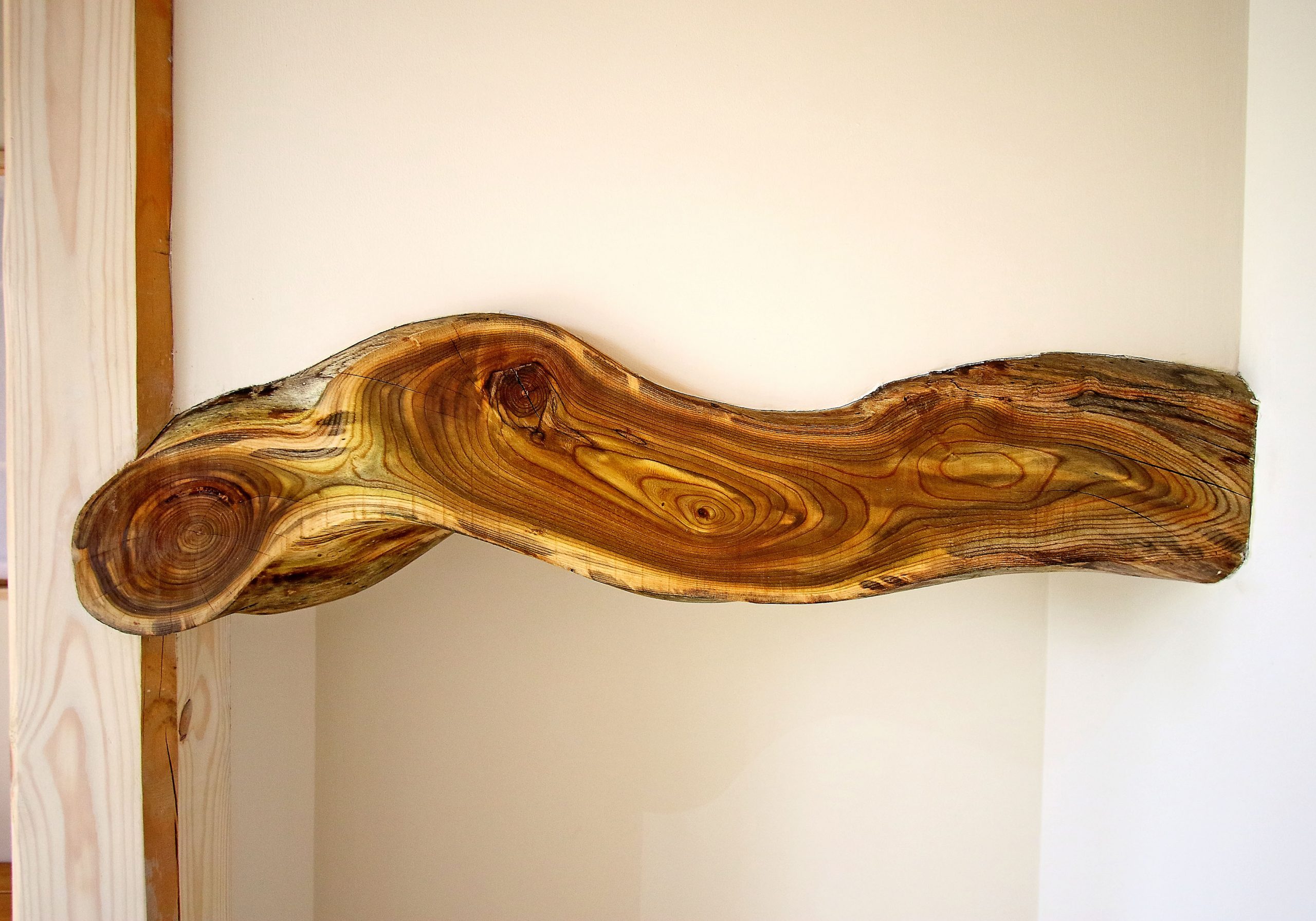 Tea House & Tea Garden - Lafcadio Hearn Japanese Gardens