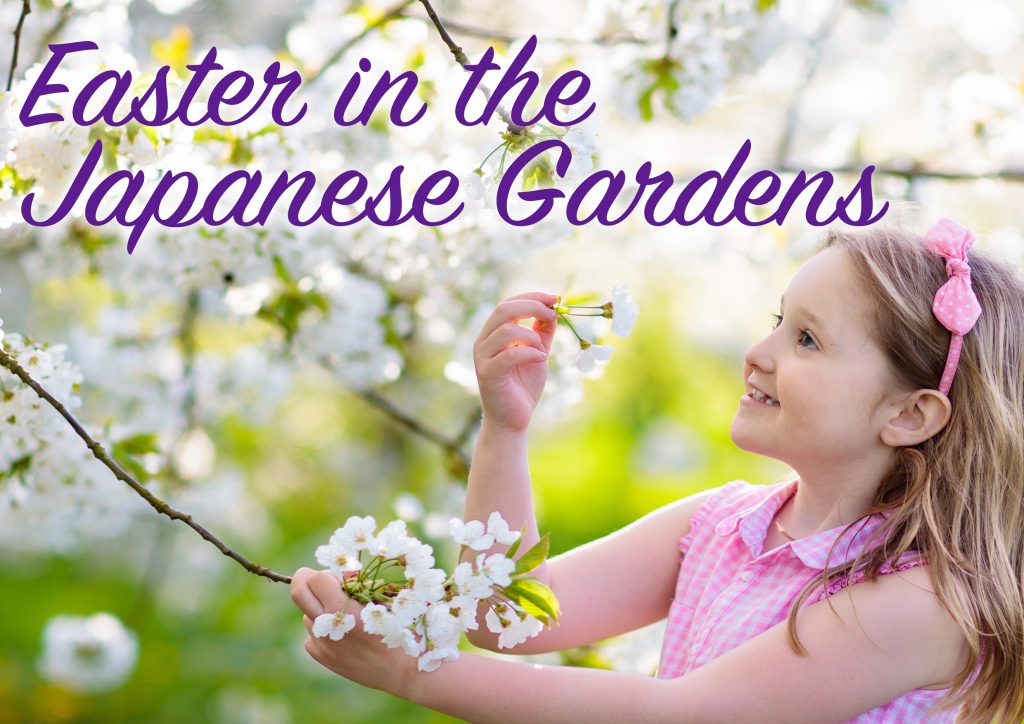 EVENTS IN THE GARDENS THIS WEEK - Lafcadio Hearn Japanese Gardens